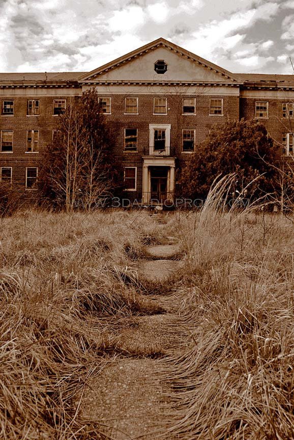 Forest Haven Asylum: Abandoned Home for the Abandoned | Sometimes ...