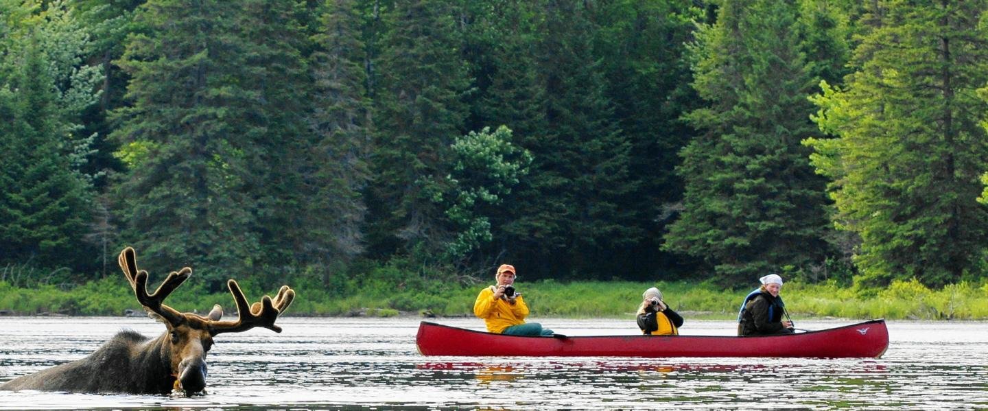 Travel in Ontario: All About Social & Recreational Locations to Explore ...