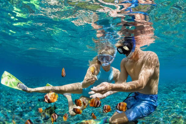 Unleash Your Inner Aquatic Adventurer: The Best Freediving Spots in ...