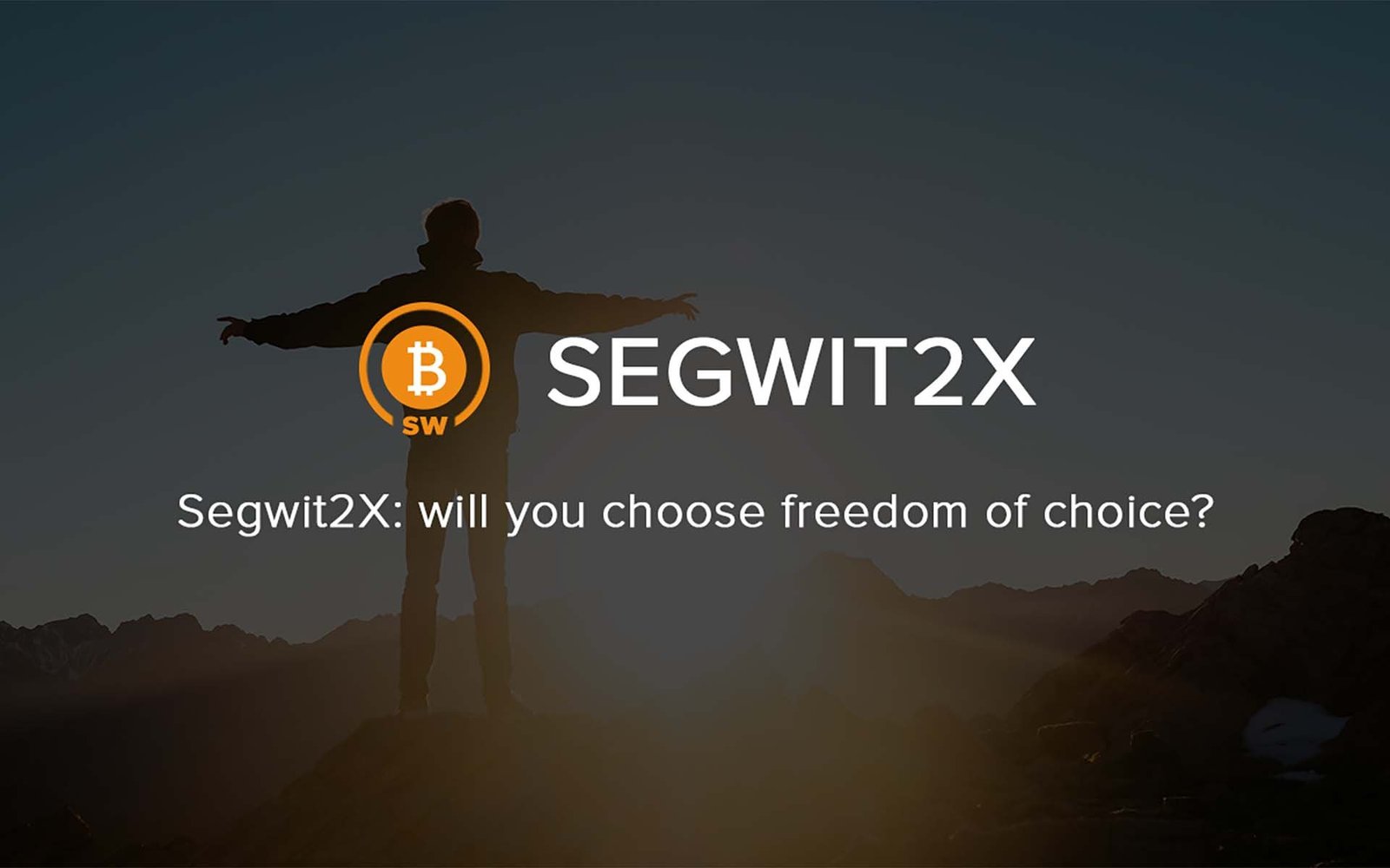 The Fork that Shook the Crypto World: Bitcoin Segwit2x - Sometimes Interesting